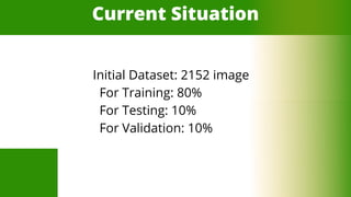 Crop Disease Detection System .pdf | Agriculture | Industries