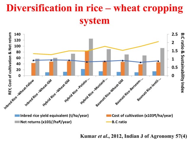 Crop Diversification : A Paradigm for Sustainable Agriculture | PPT