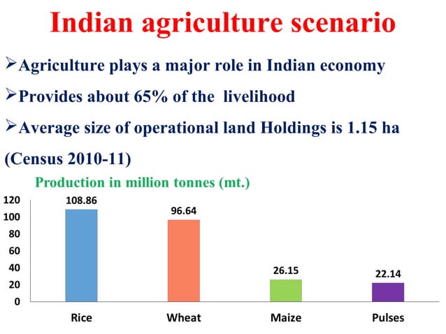 Crop Diversification : A Paradigm for Sustainable Agriculture | PPT