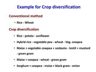 Crop diversification | PDF