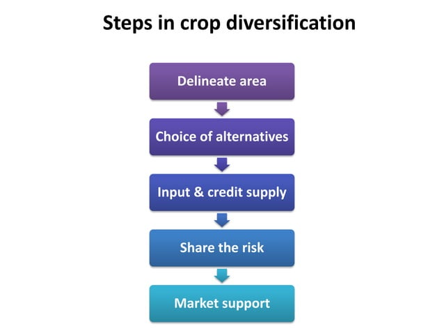 Crop diversification | PDF | Agriculture | Industries