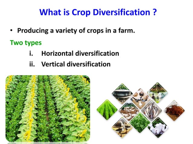 Crop diversification