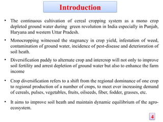 CROP DIVERSIFICATION IN CEREAL CROPS THROUGH INTERCROPPING.pptx