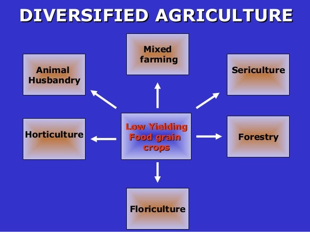 Crop diversification for Sustainable Agriculture