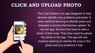 CROP DOCTOR.pptx