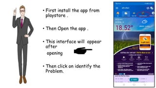 Crop Doctor Presentation (nomendra).pptx | Agriculture | Industries