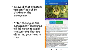 Crop Doctor Presentation (nomendra).pptx