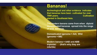 crop domestication 1111111111111111.pptx