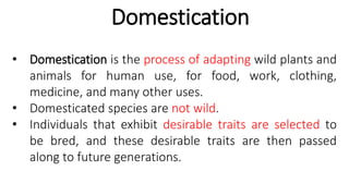 crop domestication 1111111111111111.pptx