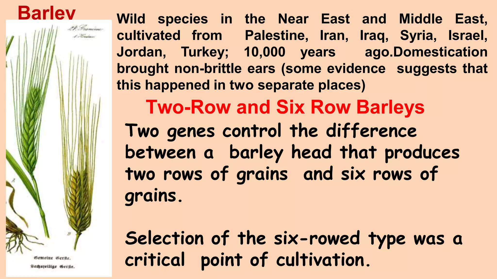 Domestication of Crop plants | PPTX