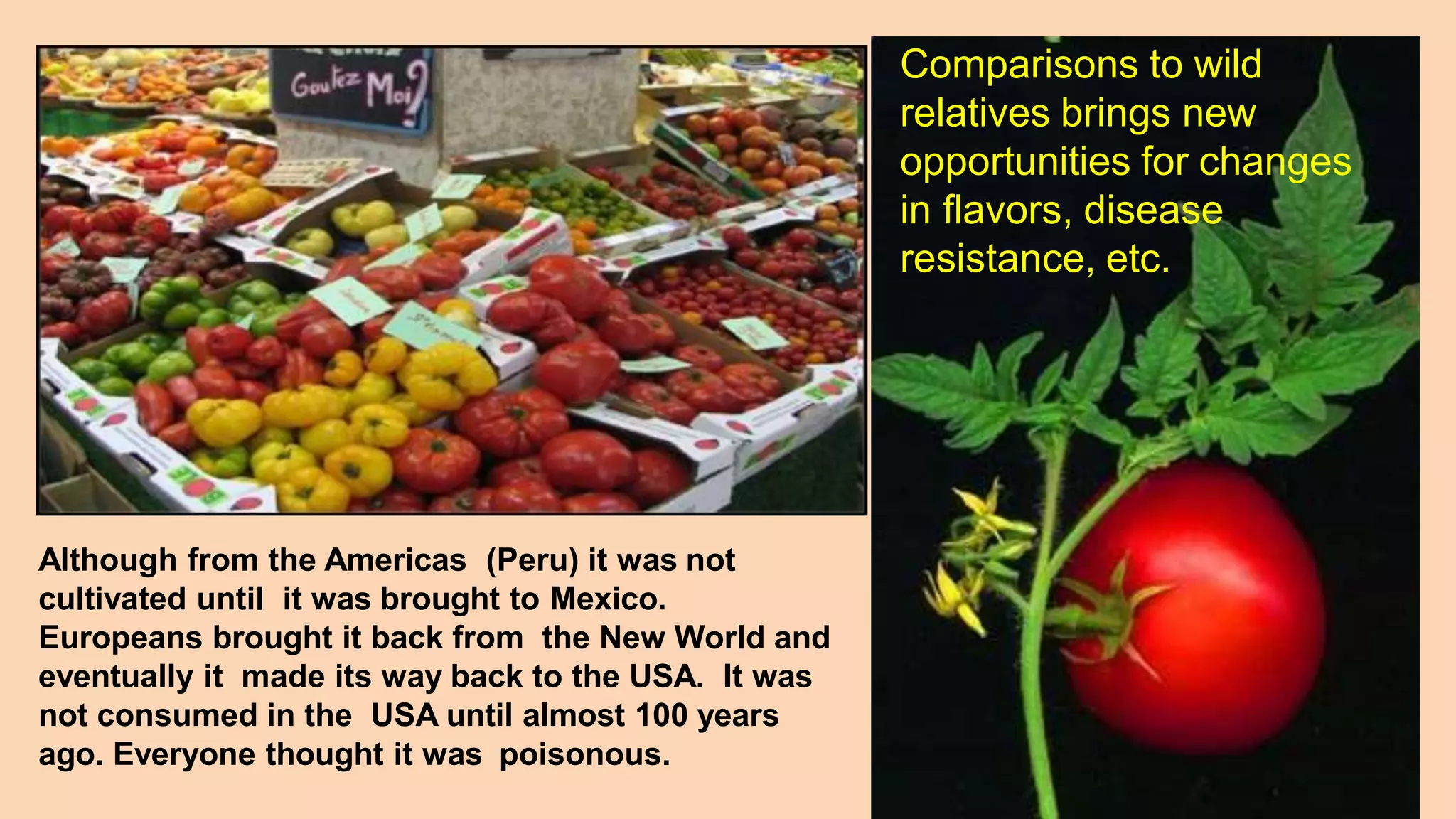 Domestication of Crop plants | PPTX