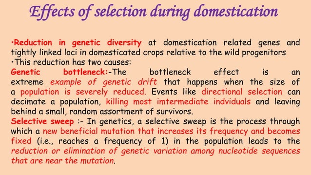 Domestication of Crop plants | PPTX | Gardening | Home & Garden