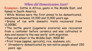 Domestication of Crop plants | PPTX