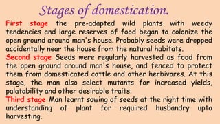 Domestication of Crop plants | PPTX