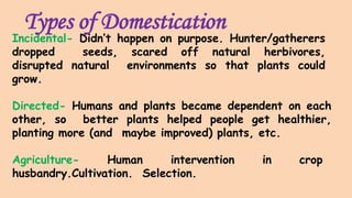 Domestication of Crop plants | PPTX
