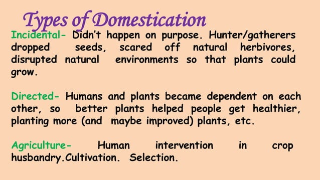Domestication of Crop plants | PPTX | Gardening | Home & Garden