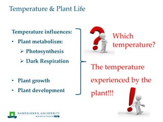 Plant meristem temperatures | PDF | Gardening | Home & Garden