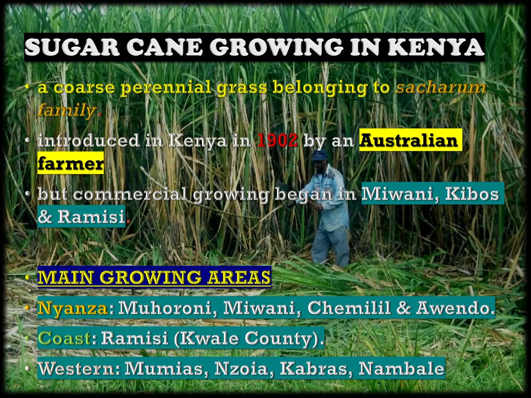 Crop Farming in Kenya, Ghana (Cocoa) & Nigeria (Oil Palm) | PDF