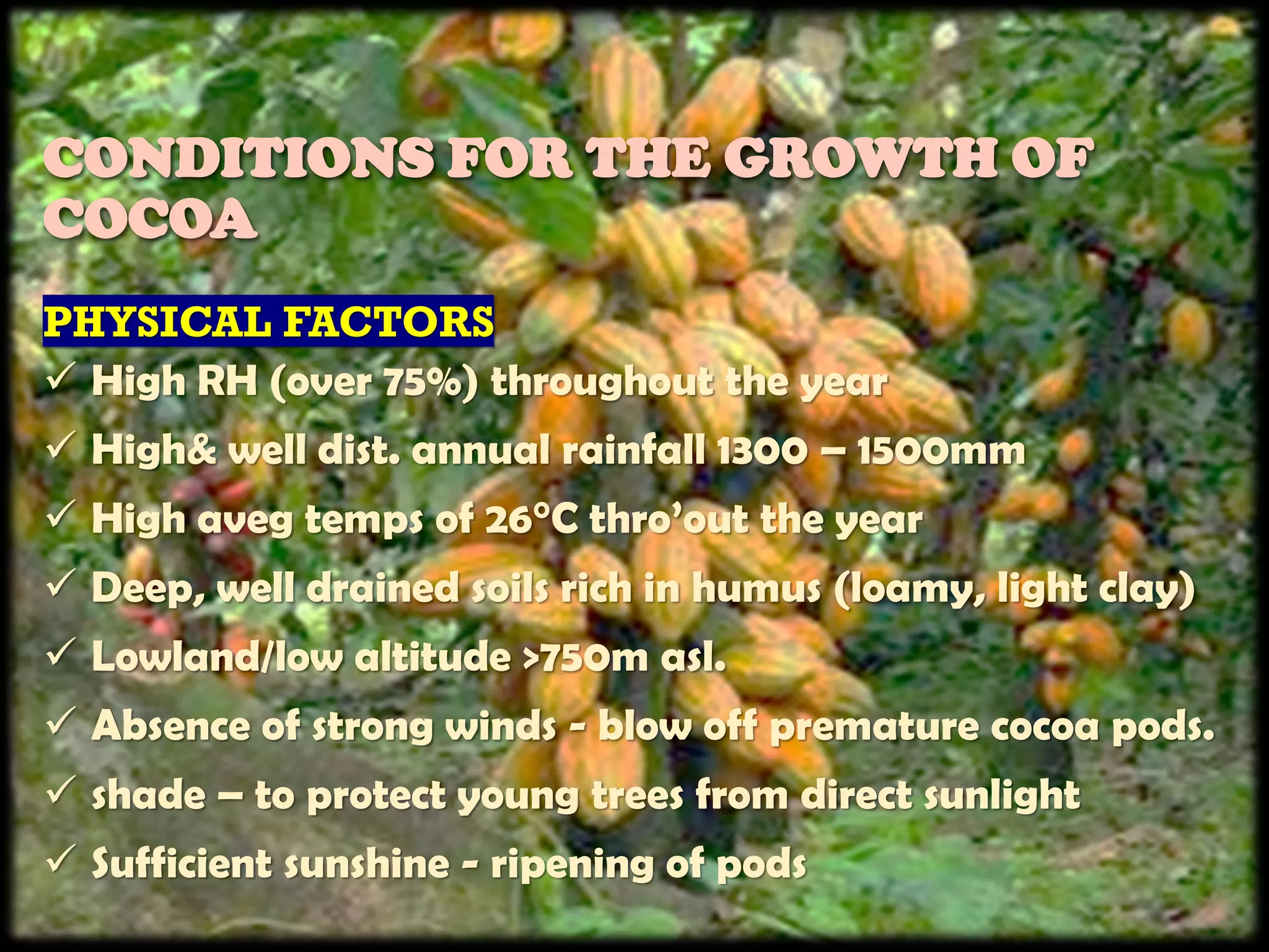 Crop Farming in Kenya, Ghana (Cocoa) & Nigeria (Oil Palm) | PDF