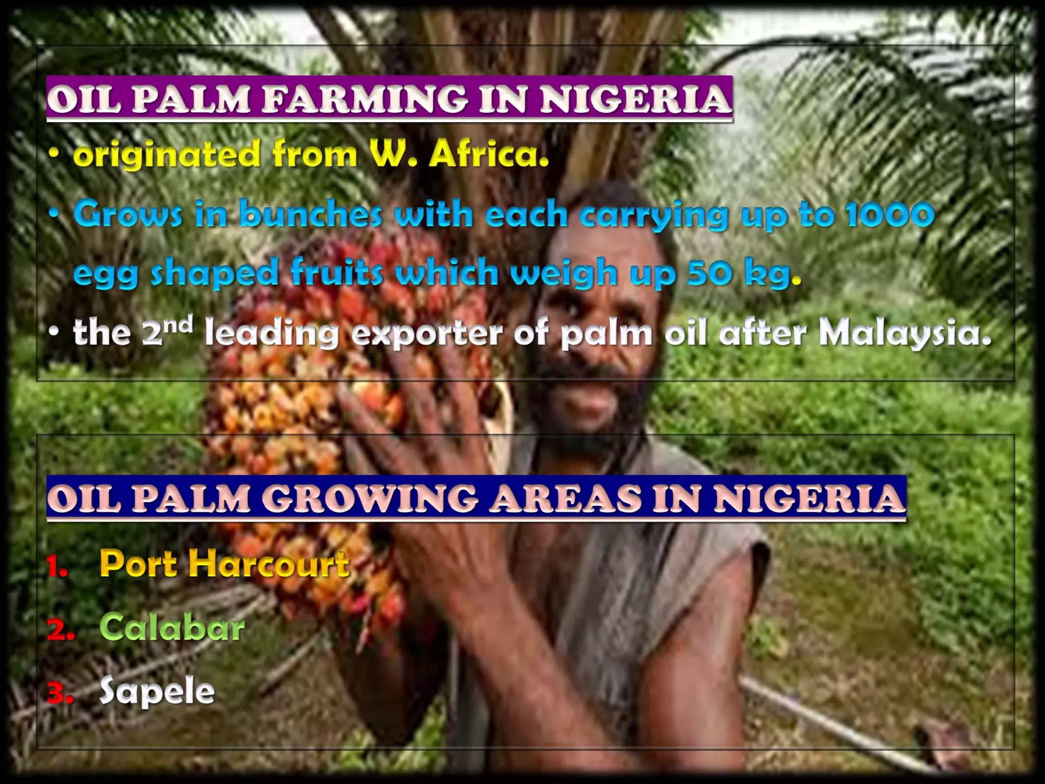 Crop Farming in Kenya, Ghana (Cocoa) & Nigeria (Oil Palm) | PDF
