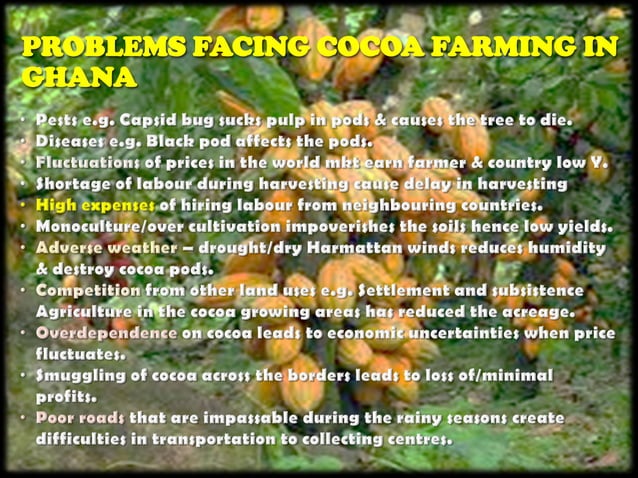 Crop Farming in Kenya, Ghana (Cocoa) & Nigeria (Oil Palm) | PPT