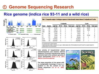 Crop genetic improvement and utilization in china. xinhai li | PPT