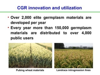 Crop genetic improvement and utilization in china. xinhai li | PPT