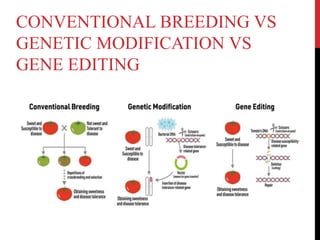 Crop genome editing using CRISPR | PPT