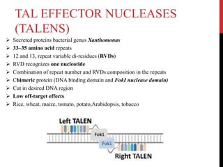 Crop genome editing using CRISPR | PPT