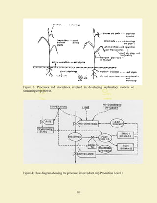Crop growth model | PDF