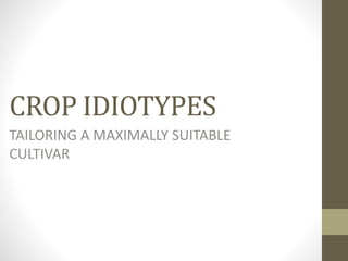 Crop idiotypes | PPTX