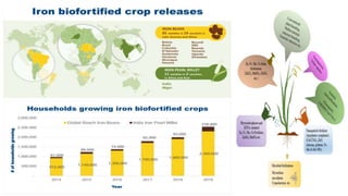 Crop_improvement.pptx