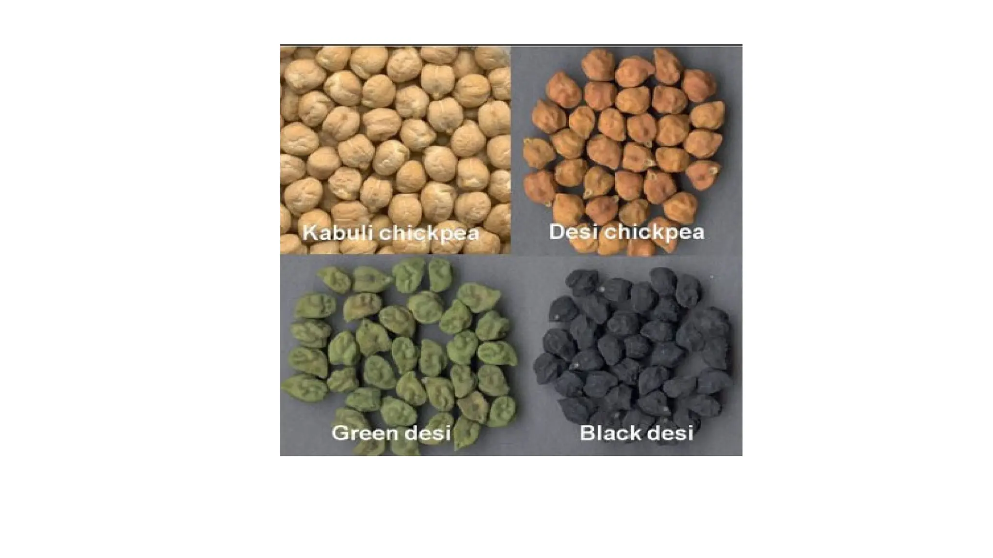 Crop Improvement-II -Rabi crops for crop production.pptx
