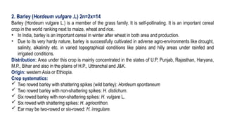Crop Improvement-II -Rabi crops for crop production.pptx