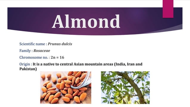 Crop improvement in Almond (Fsc 221).pptx