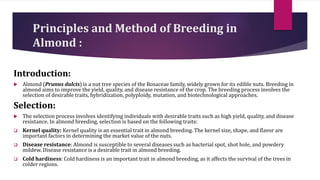 Crop improvement in Almond (Fsc 221).pptx