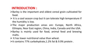 CROP IMPROVEMENT IN BARLEY.pptx