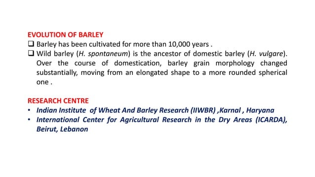 CROP IMPROVEMENT IN BARLEY.pptx