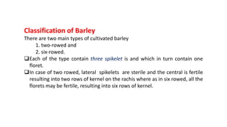 CROP IMPROVEMENT IN BARLEY.pptx