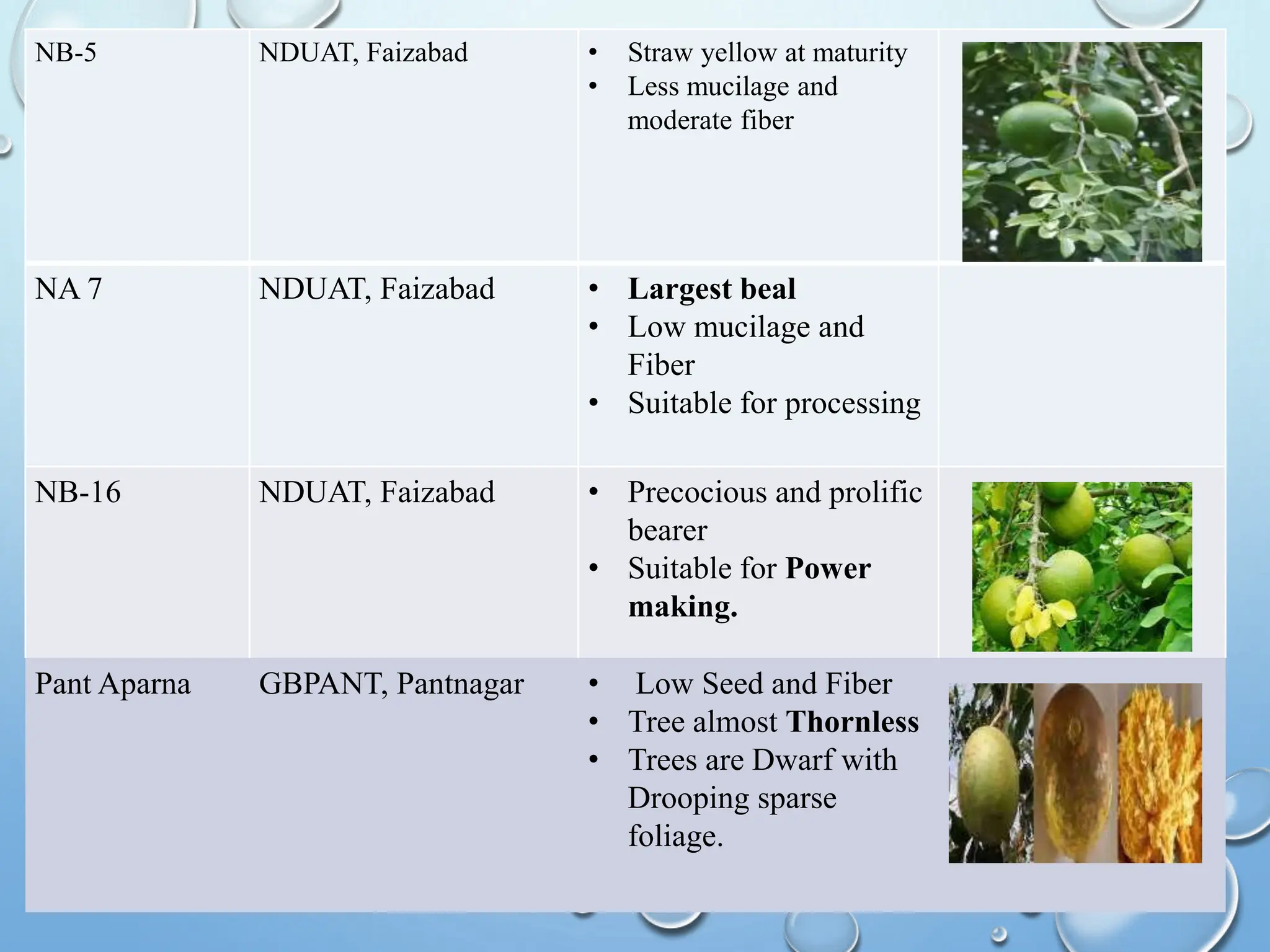 crop improvement of Aonla, Beal, ber, jackfruit, karonda, phalsa | PPTX