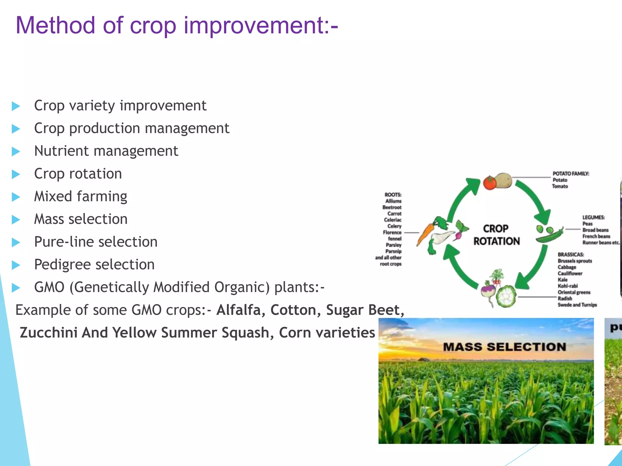 Crop improvement strategies in climate changes | PPTX