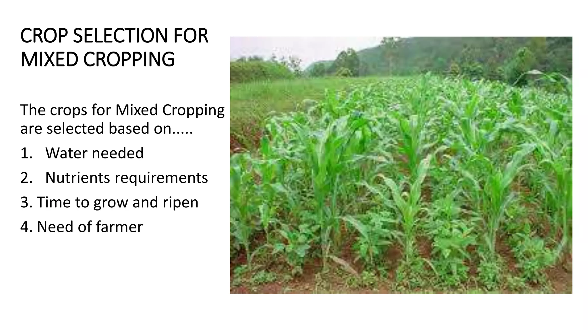 croping patterns.pptx