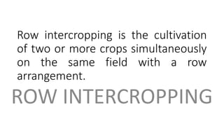 croping patterns.pptx