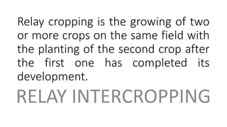 croping patterns.pptx