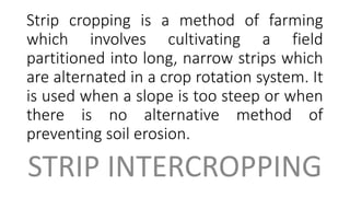 croping patterns.pptx