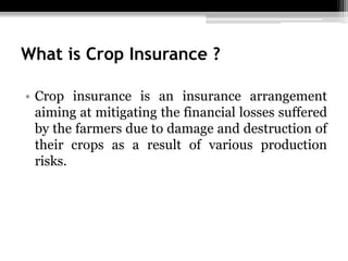 Crop Insurance | PPTX