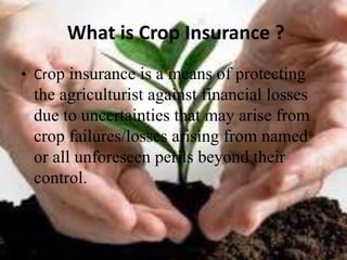 Crop insurance | PPTX