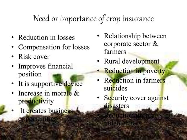 Crop insurance | PPT | Free Download