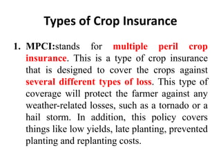 Crop insurance | PPTX