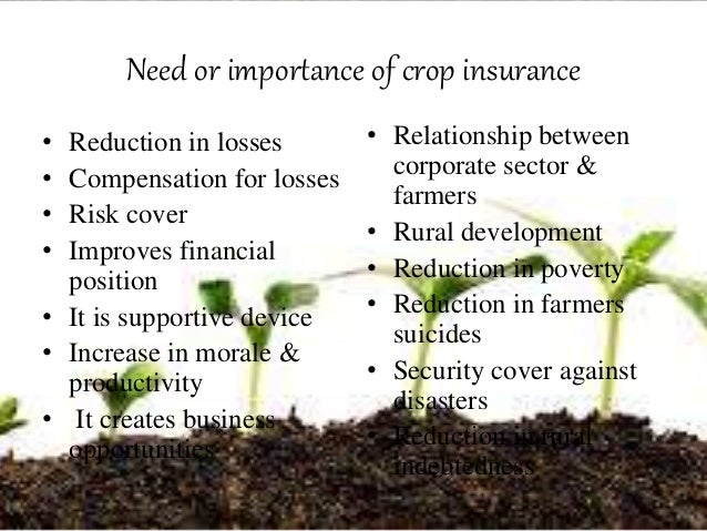Crop insurance